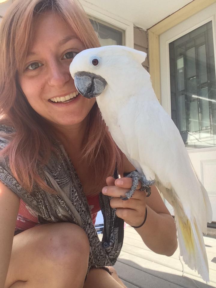 All Pawsitive Pups LLC – Animal Training, Boarding & Daycare!